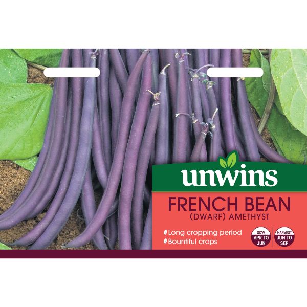 Unwins Seed Packet French Bean Dwarf Amethyst – Co-Op Superstores