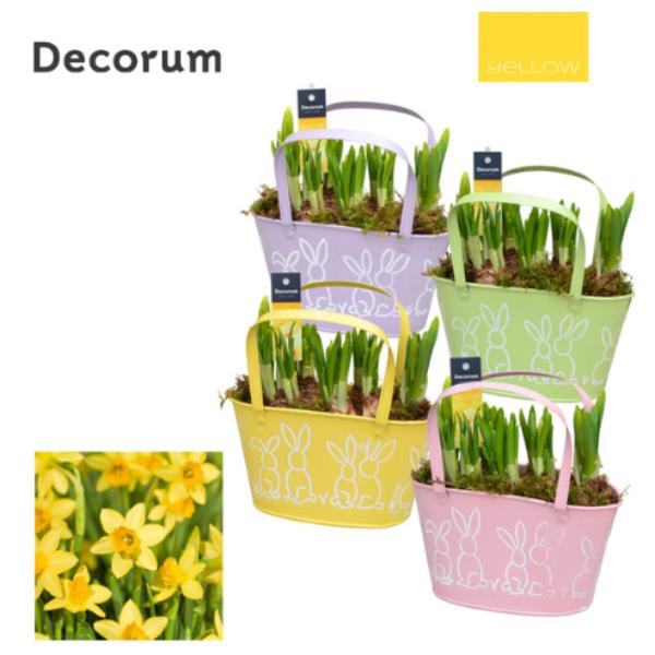 Easter Spring Flower Baskets with Handle 17.5cm – Co-Op Superstores