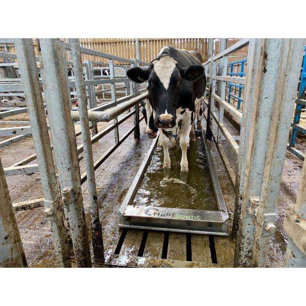 Hoofcount Automatic Footbath Standard 3 Meter – Co-Op Superstores