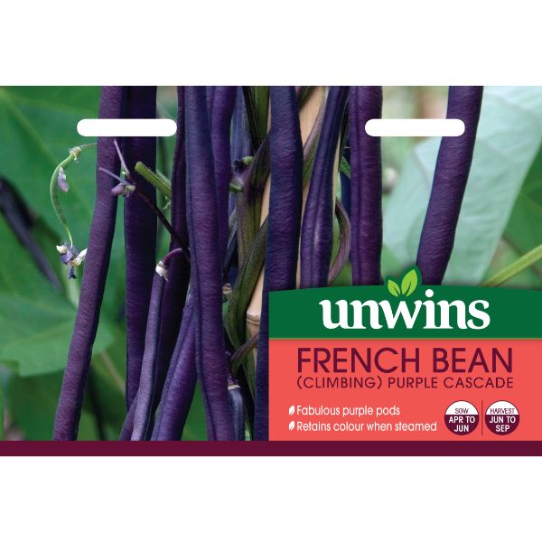 Unwins Seed Packet French Bean Climbing Purple Cascade – Co-Op Superstores
