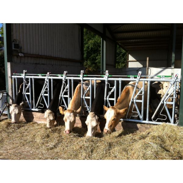 Jourdain Headlock Gate 7 Space 15.9Ft – Co-Op Superstores