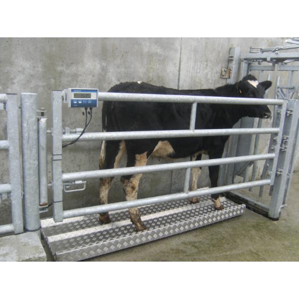 O'Neill Weighing Systems Livestock Weighing Scales Crate – Co-Op ...