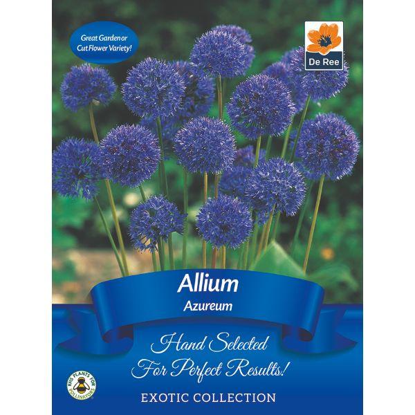 De Ree - Exotic Bulb Pack – Co-Op Superstores