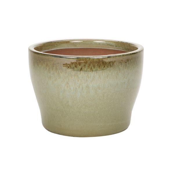 Apta Peacock Low Egg Pot 25cm (Grn / Blu) – Co-Op Superstores