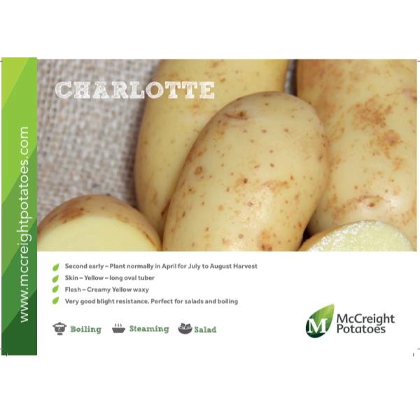 Charlotte Seed Potatoes 5kg – Co-Op Superstores