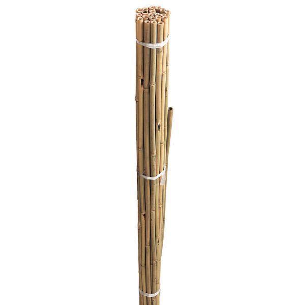 Grow It Bamboo Canes Bulk Bundle 240Cm 8' 10Pk – Co-Op Superstores