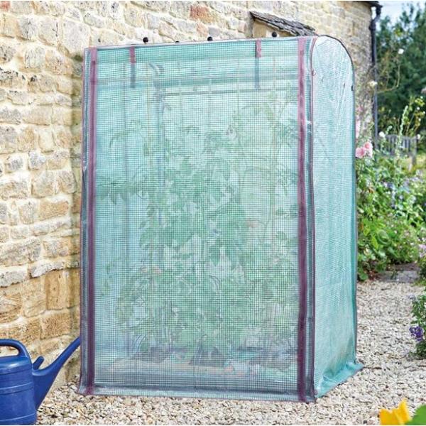 Smart Garden Tomato GroZone Max Cover – Co-Op Superstores